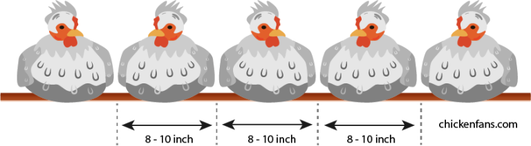 Chicken Roosts: Sleep, Perches & Dimensions | Chicken Fans