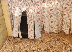 All About Nesting Box Curtains | Chicken Fans