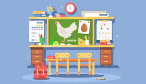 The Classroom | Chicken Fans