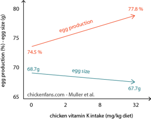 Vitamin K For Chickens Chicken Fans