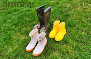 Best Farm Shoes To Wear In The Chicken Coop | Chicken Fans