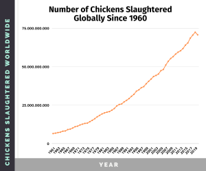 How Many Chickens Are in the World in 2023? (Chicken Statistics ...