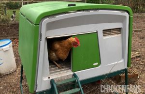 Best Portable & Movable Chicken Coops (+Free Tractor DIY Plan ...