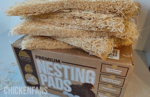 Chicken Nesting Box Pads: Best Buys and Types | Chicken Fans