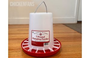 Best Chicken Feeders: From Budget to Best Buy (Real-Life Testing ...