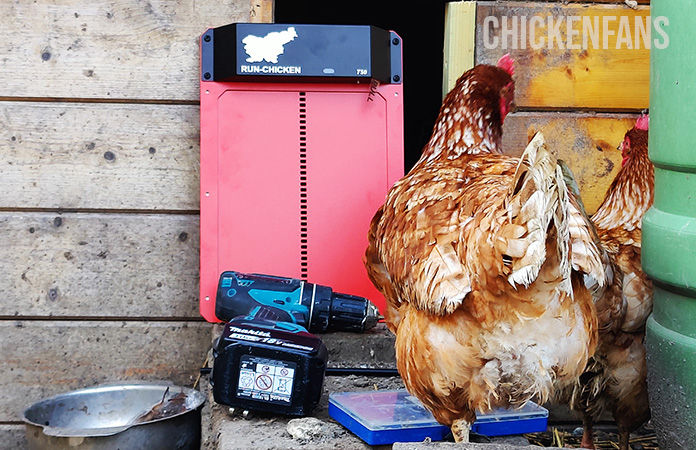 Become a Chicken Fans Product Reviewer | Chicken Fans