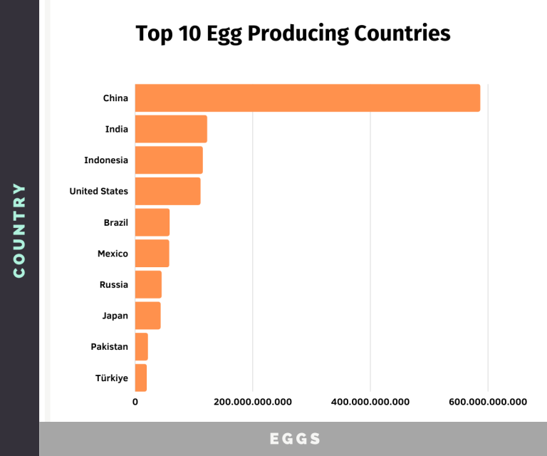 Poultry Industry Statistics (2023): Meat & Egg Production | Chicken Fans