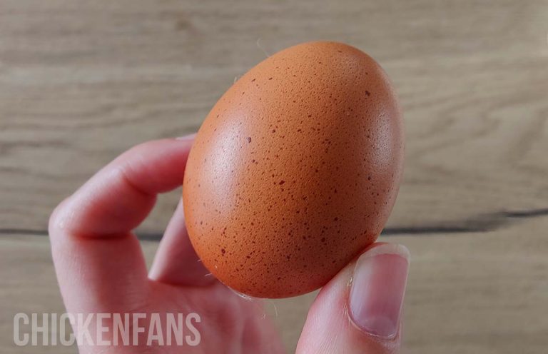Chicken Egg Abnormalities: Are Weird Eggs Safe To Eat? | Chicken Fans