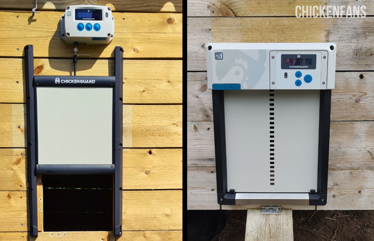 Best Automatic Chicken Coop Doors - Real-Life Testing (2025) | Chicken Fans