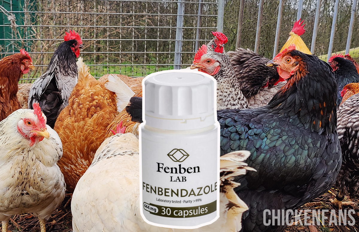 Fenbendazole For Chickens: Uses, Dosage, Side Effects | Chicken Fans