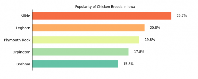 Most Popular Chicken Breeds in Every U.S. State in 2024 | Chicken Fans