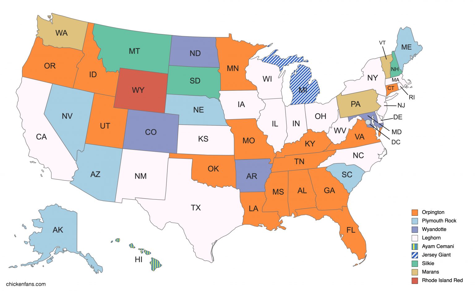 Most Popular Chicken Breeds in Every U.S. State in 2024 | Chicken Fans
