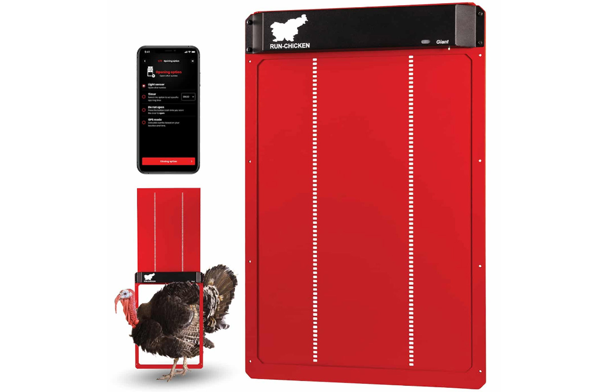 Best Automatic Chicken Coop Doors - Real-Life Testing (2025) | Chicken Fans