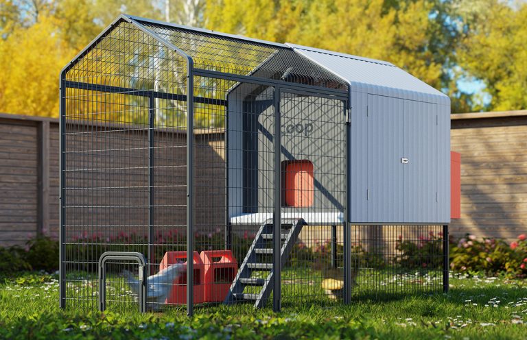 Best Plastic Chicken Coops (2025) | Chicken Fans