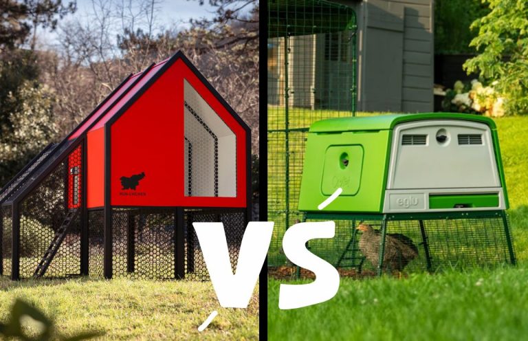 Run-Chicken Villa: Luxury In The Chicken Coop | Chicken Fans
