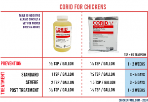 Corid for Chickens: Dosage & Treatment of Coccidiosis | Chicken Fans