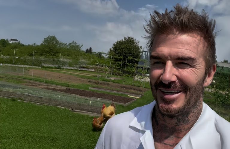 A-List Celebrities Who Love Raising Chickens | Chicken Fans