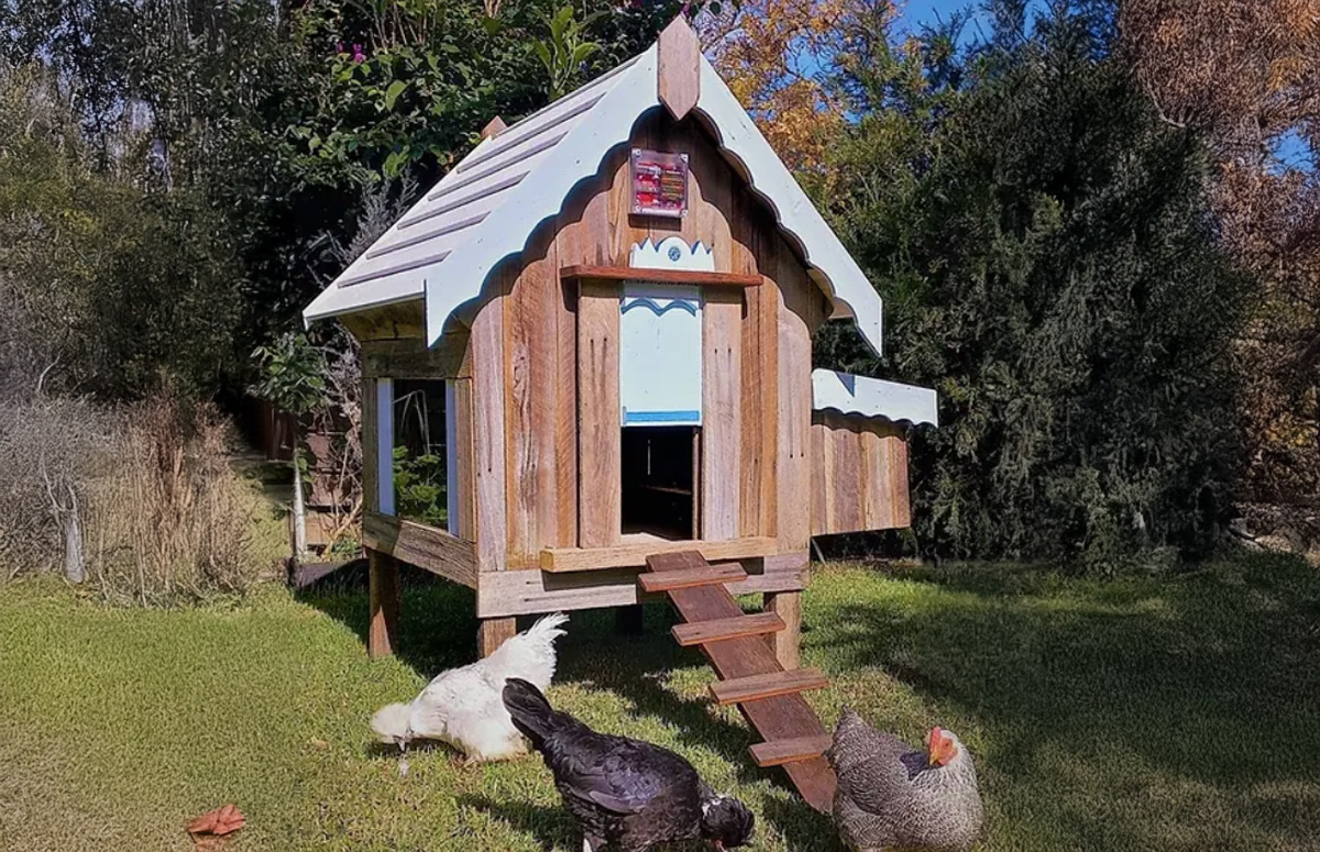 Creative Coop Setups From Around The World | Chicken Fans